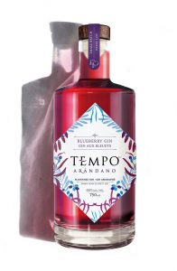 Tempo Craft Gin | Crafted by Characters For Characters